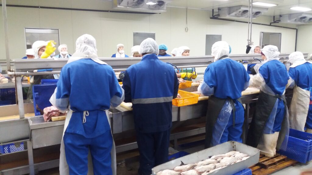 The Death and Resurrection of the Aral Sea - Abai Center